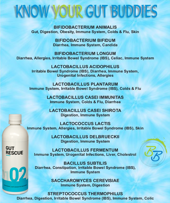 02 Gut Rescue (Probiotic) 500ml – BB Natural Health